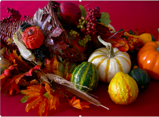 A Thanksgiving Memory on Lung Cancer Awareness Month | My Second Wind
